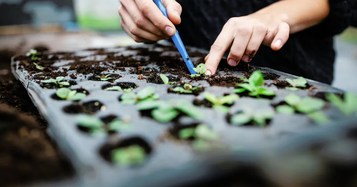 Corporate Direct Lending